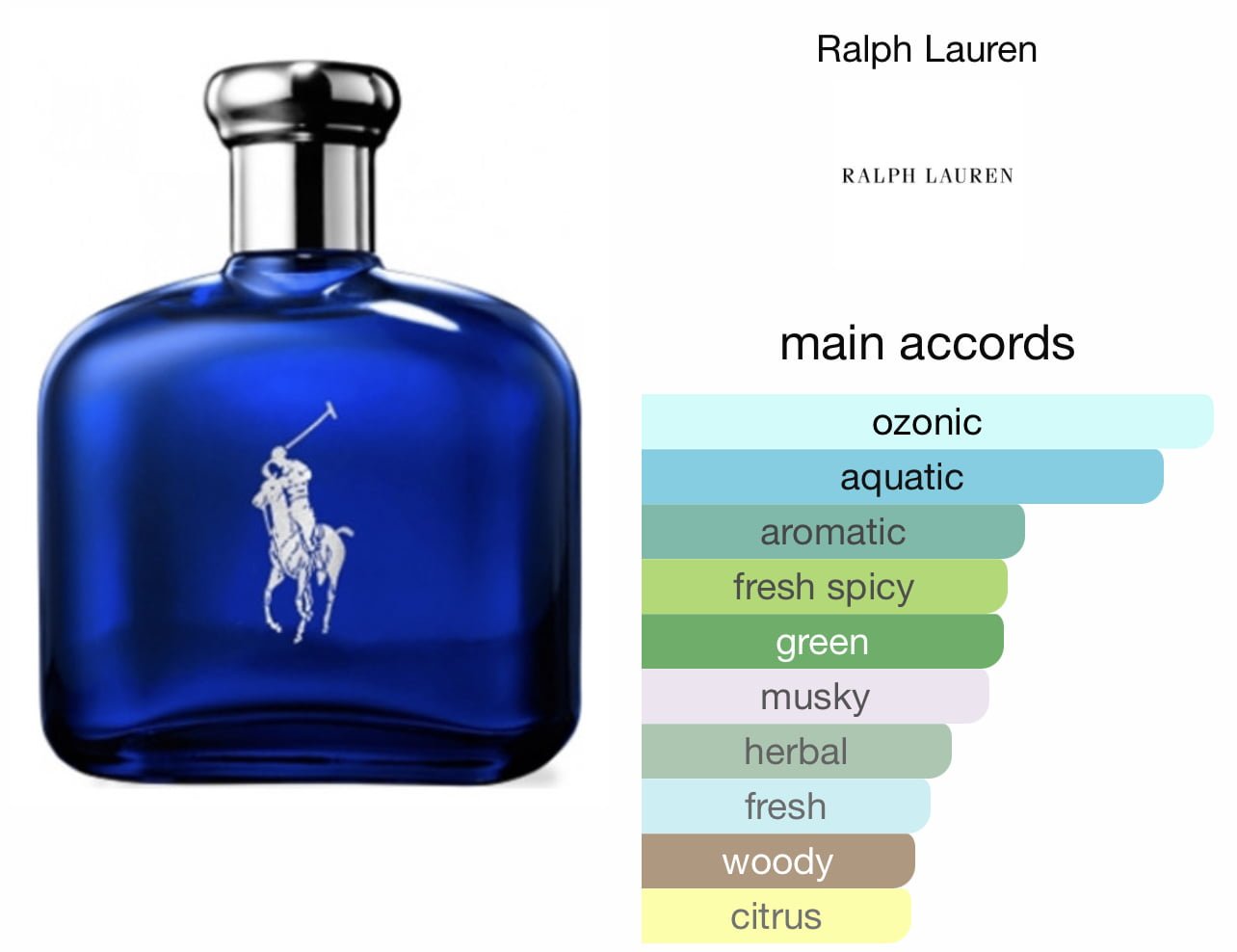 Scent Elixir Oil Impression Of Ralph Lauren – Polo Blue – Scent Elixir